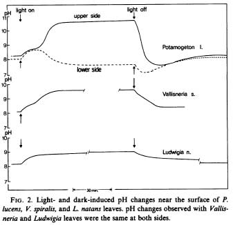 Over de oplosbaarheid van Kalk en CO2 - AquaInfo