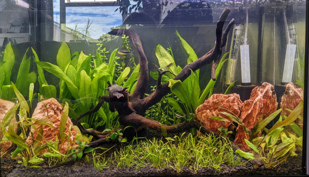 8.5.2. DIY Undergravel Filter - AquaInfo